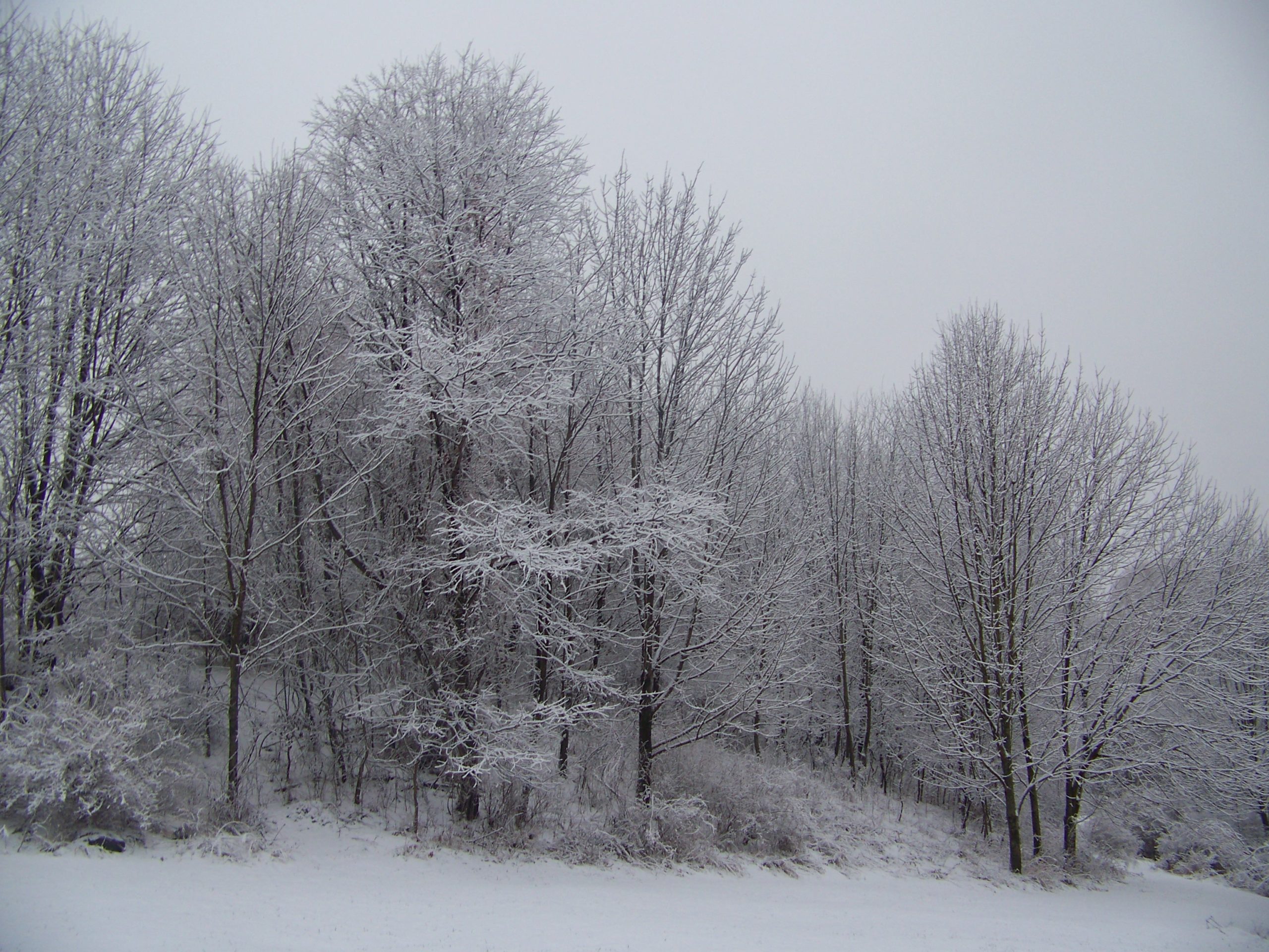 Winter Weather Statement - Prince of Peace Catholic Church & School