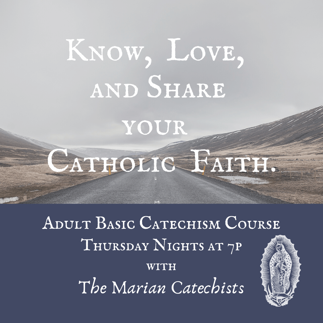 Marian Catechist Basic Catechism Course: Intro Meeting on 2 June at 7p ...